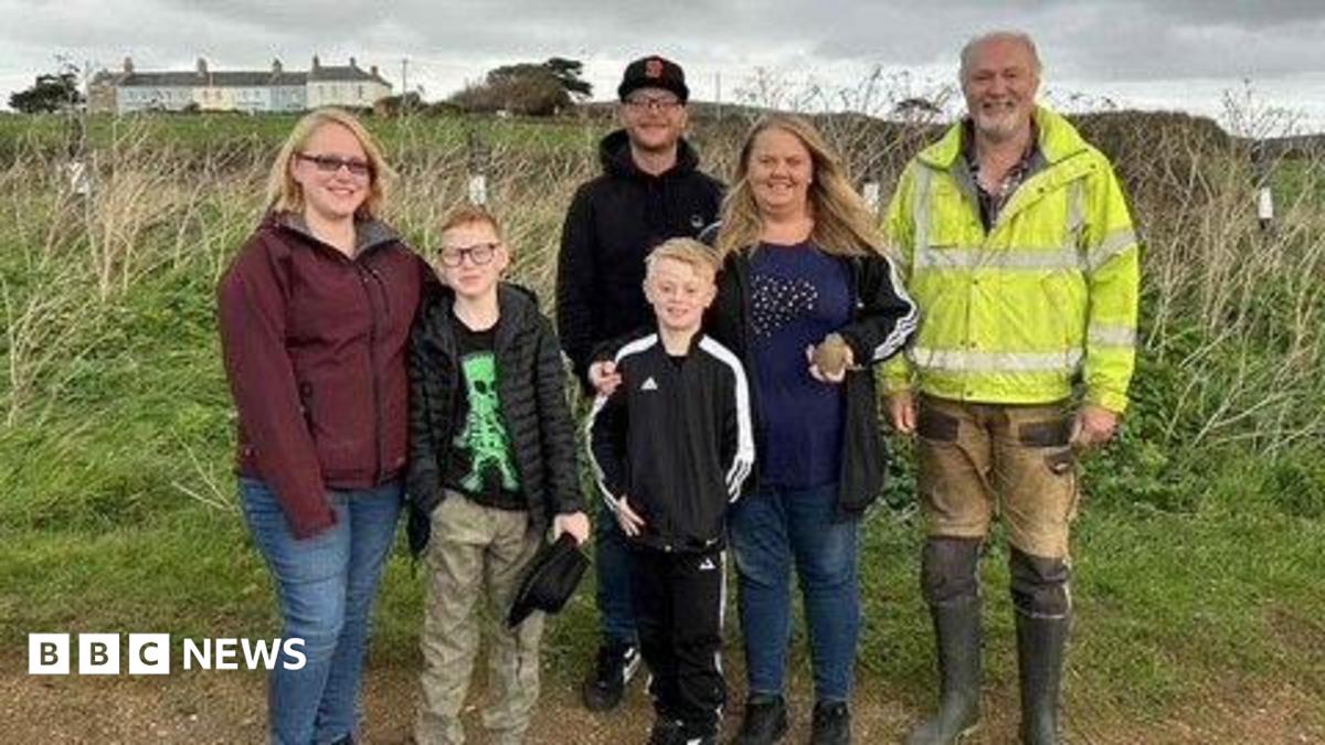 Family finds 'rare' Stone Age hand axe on Isle of Wight - BBC News