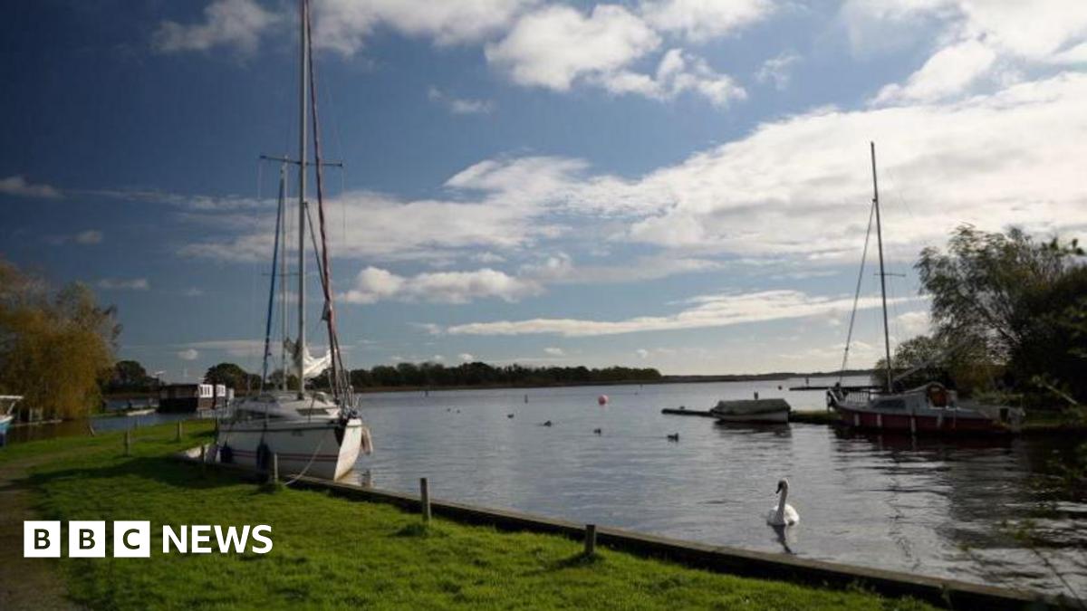 Thousands of Broads fish saved after seawater surge - BBC News