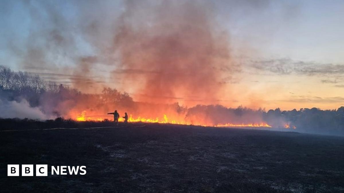 Dorset heathland fires: Sixth incident in four days - BBC News