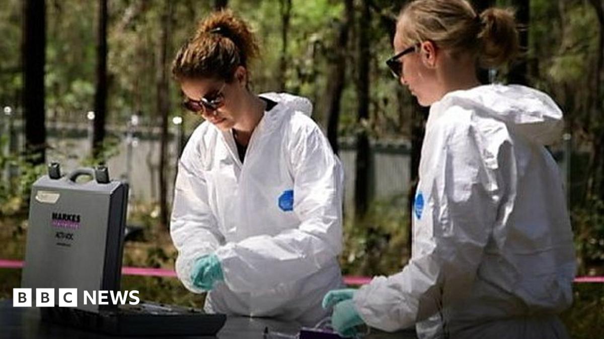 Does the UK need a human 'body farm'? - BBC News