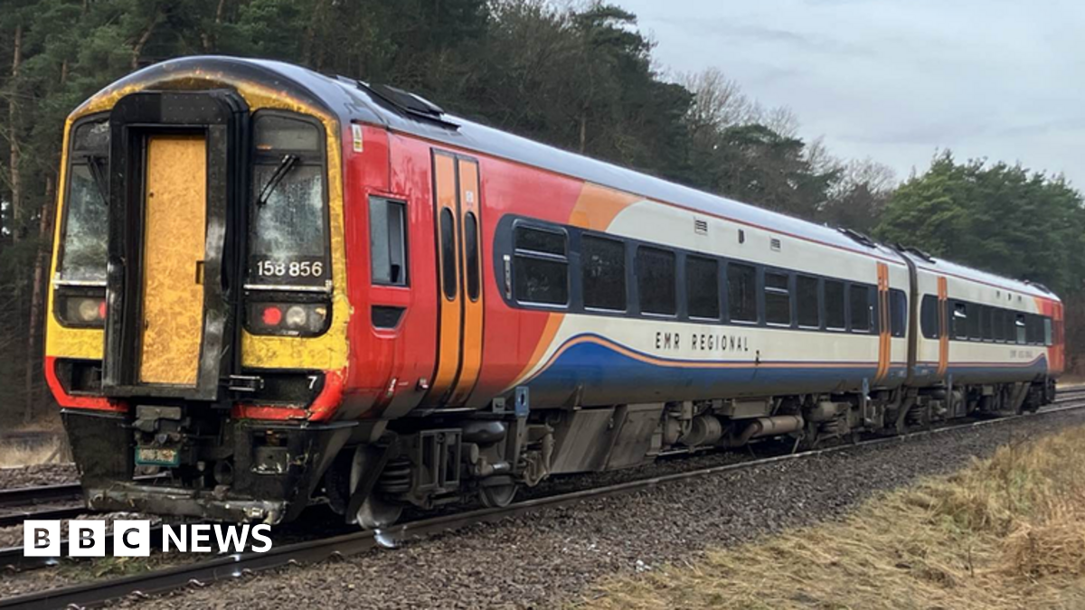 Tree management warning after Thetford train derailment - BBC News