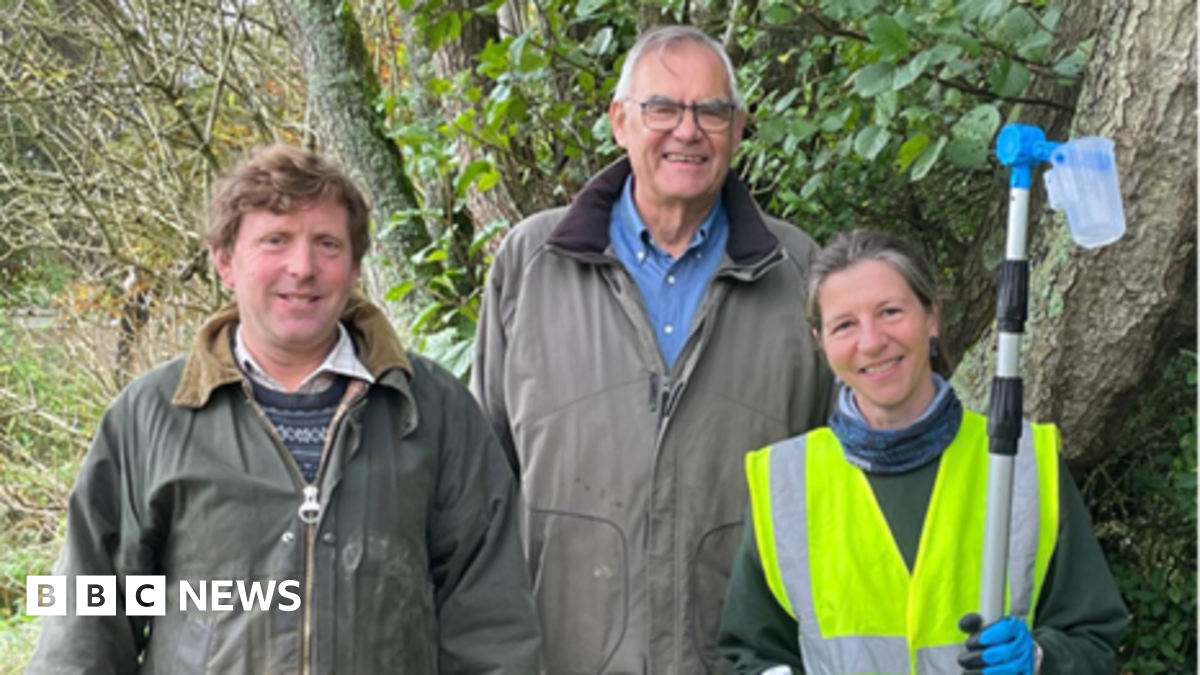 South Wiltshire volunteers needed to monitor river in beauty spot - BBC ...