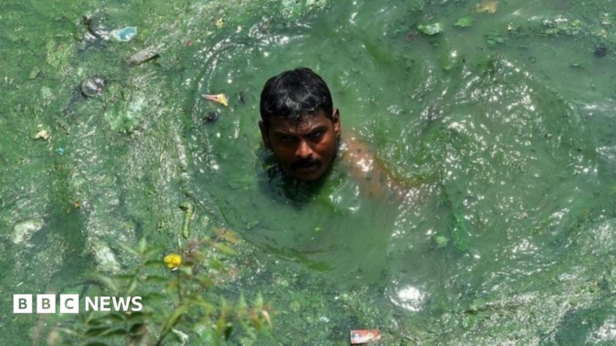 The Indian diver who has saved more than 100 lives - BBC News