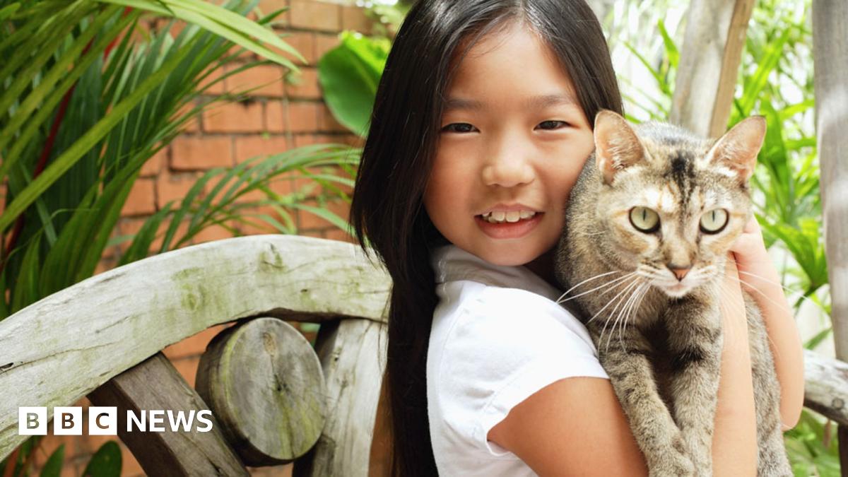 The rise of Singlish - BBC News