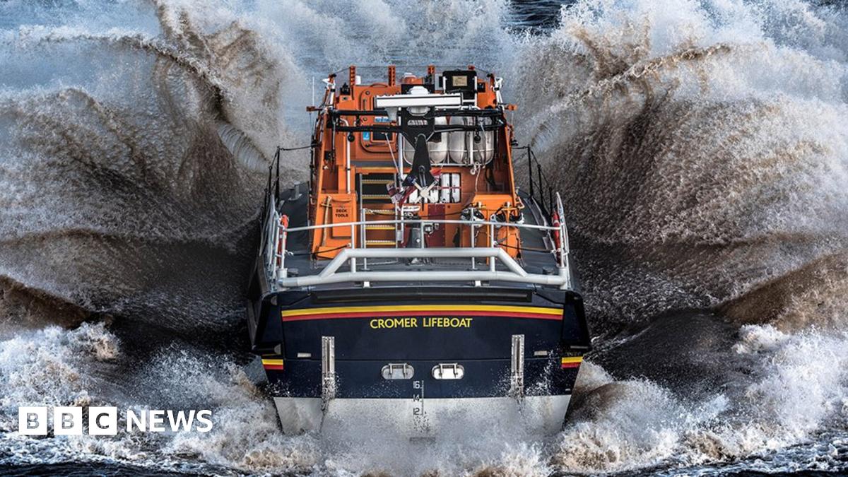 Maritime life around the coast of Britain - BBC News