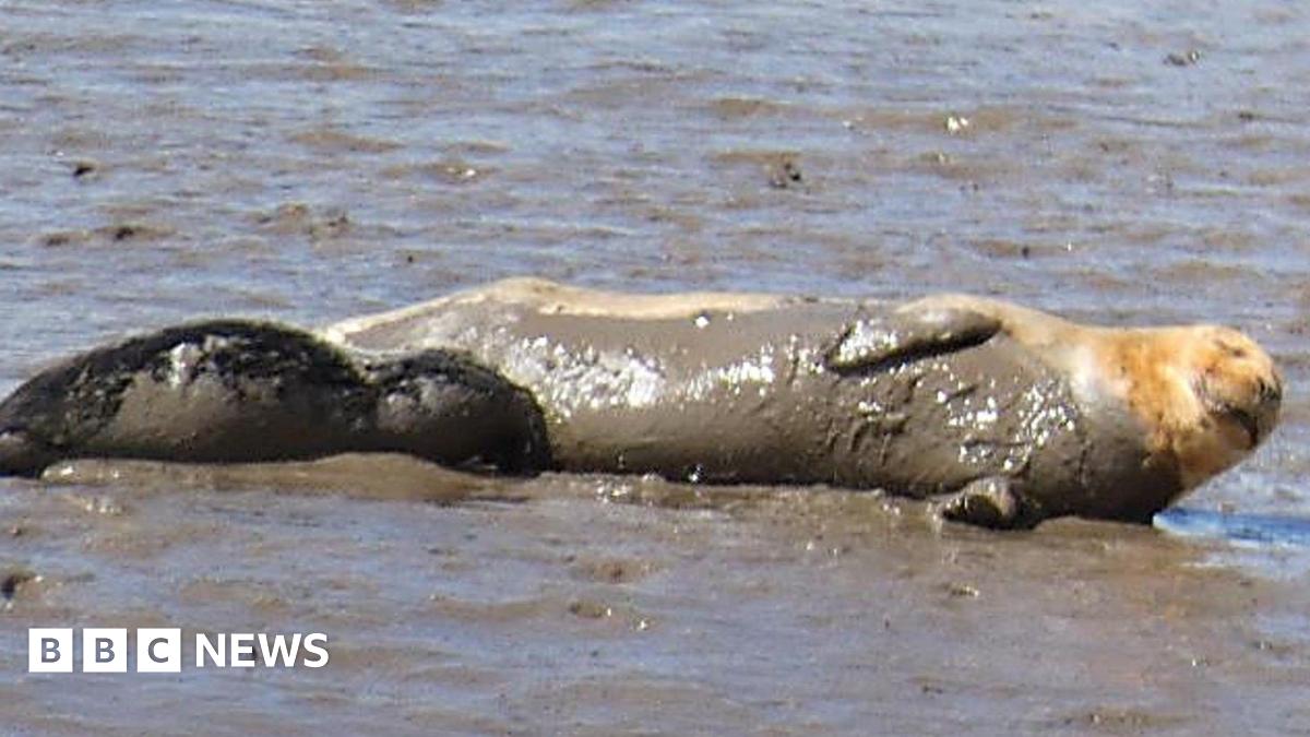 Lailatoks b/g went by slim spot which was a bit small hotel.