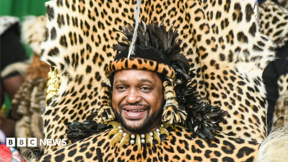 Africa Live this week: 21-27 November 2022 - BBC News