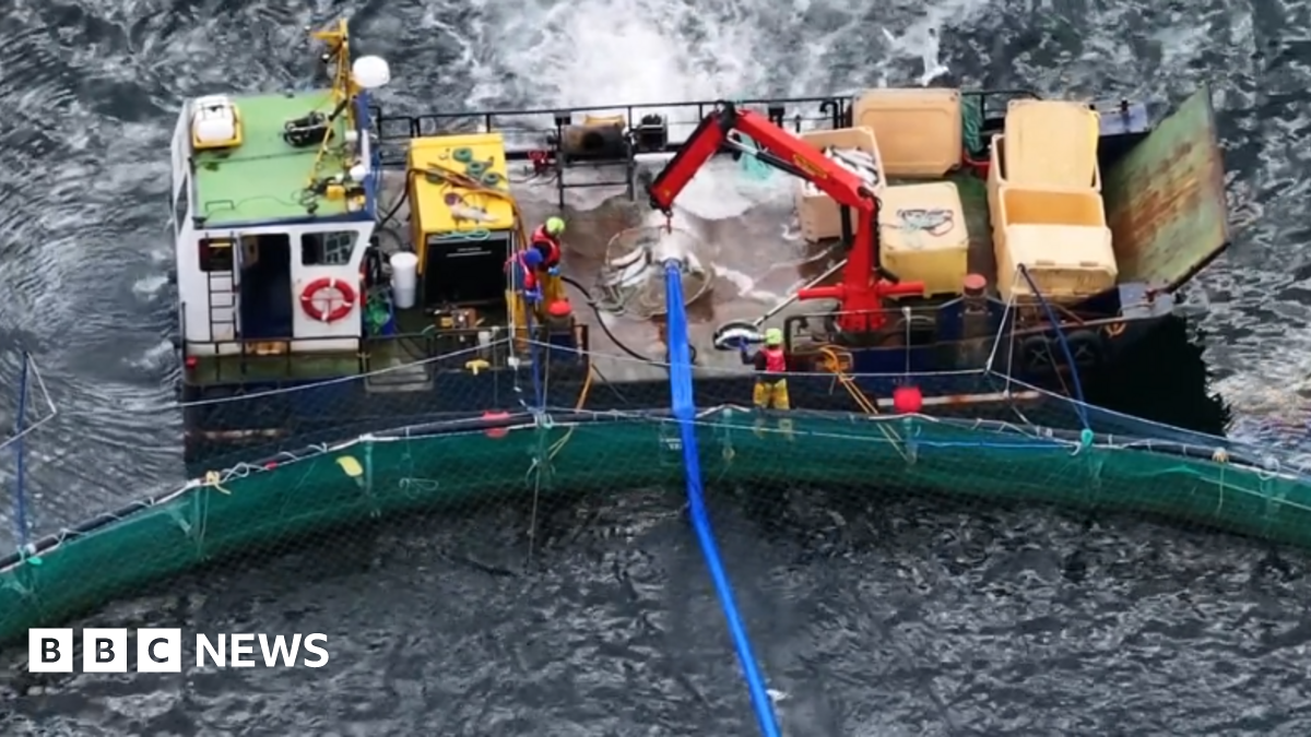 All fuel removed from sunken fish farm ship, says coastguard - BBC News