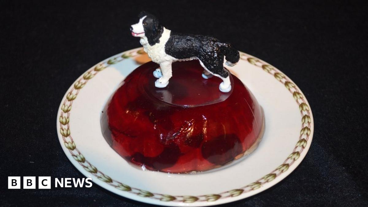 Turnip Prize 2018: Spoof art award winner announced - BBC News