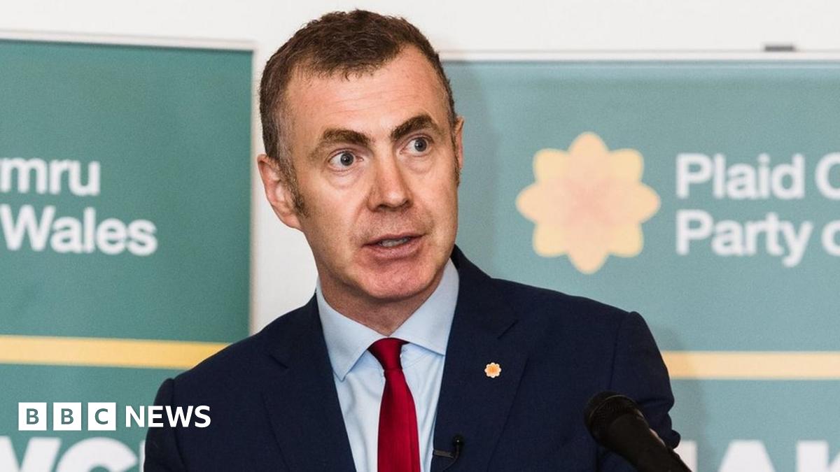 Plaid Cymru calls for Brexit reversal in European manifesto - BBC News