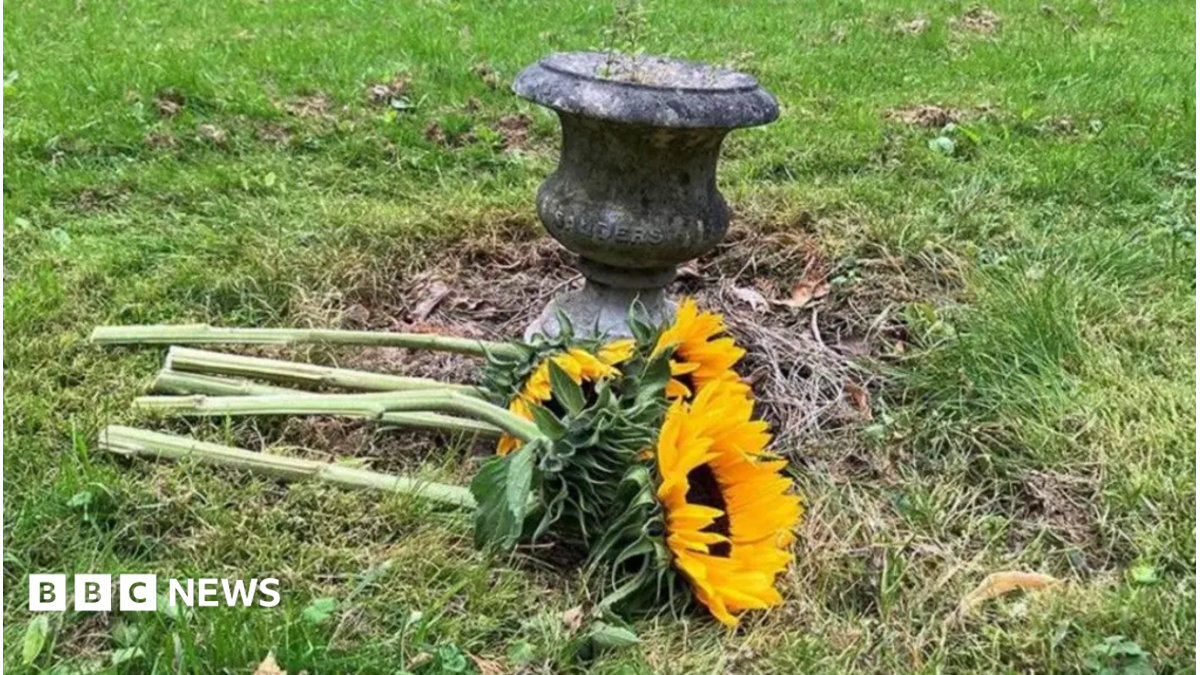 Oldham: Memorial plans for unmarked mass grave babies - BBC News
