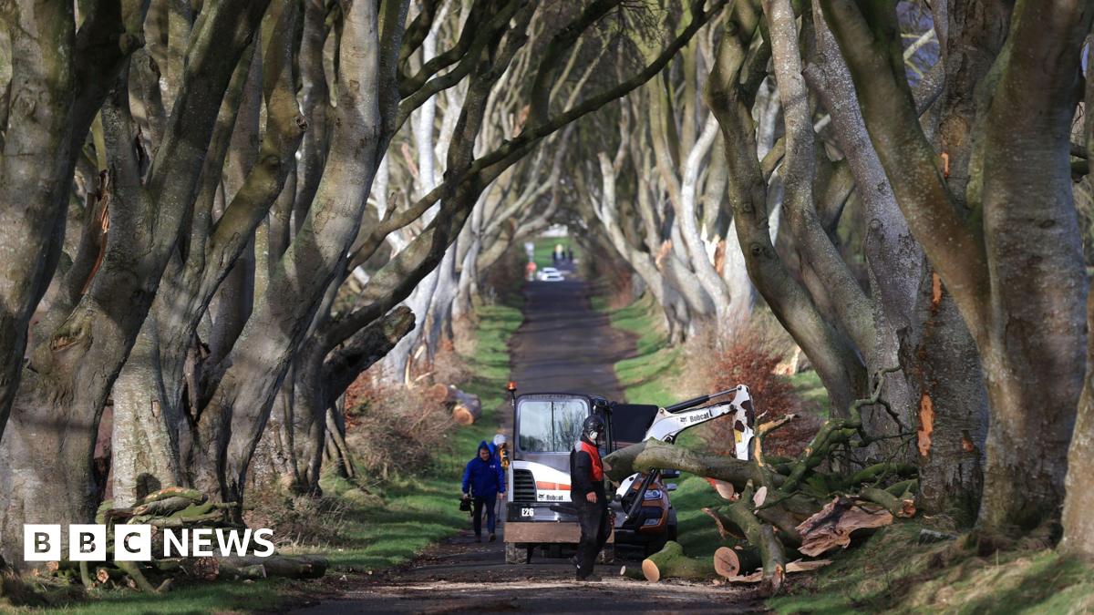 Weather in Northern Ireland was extreme and varied in 2024 - BBC News