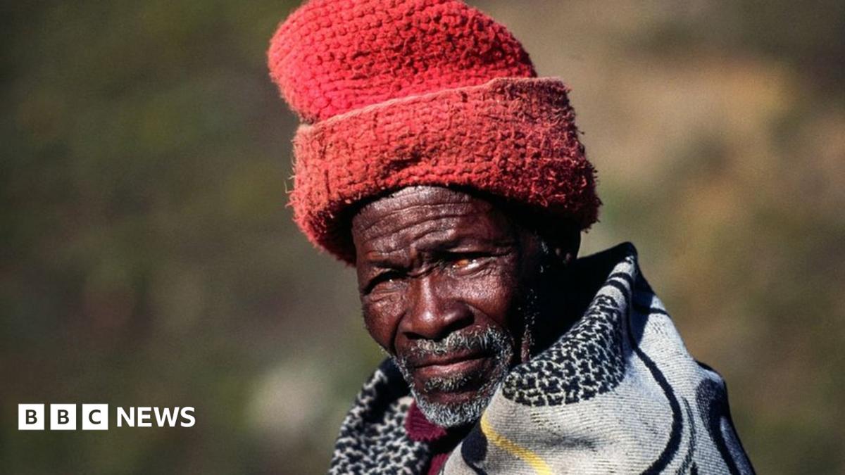 Lesotho MP demands huge parts of South Africa - BBC News