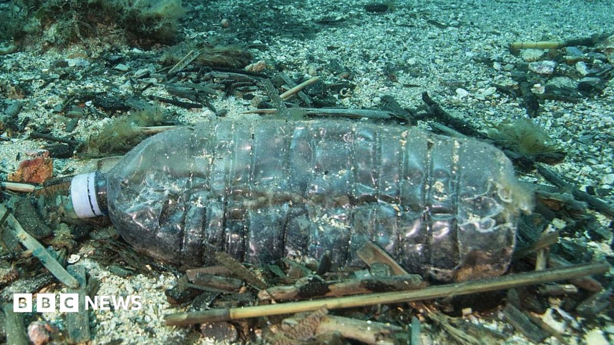 Mediterranean plastic pollution hotspots highlighted in report - BBC News