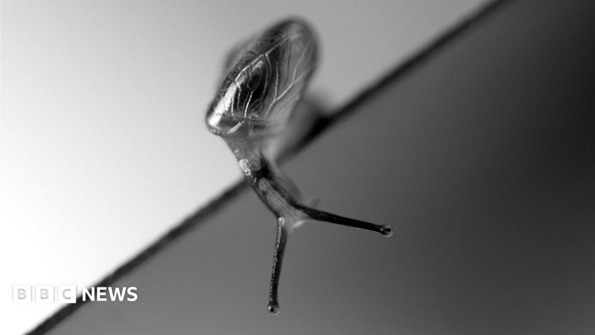 Your pictures: Corners - BBC News