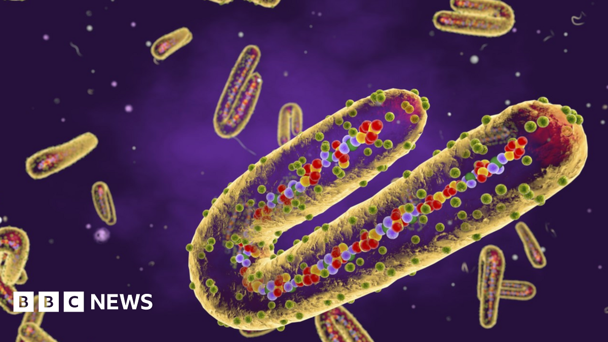 What is the Marburg virus and how dangerous is it? - BBC News