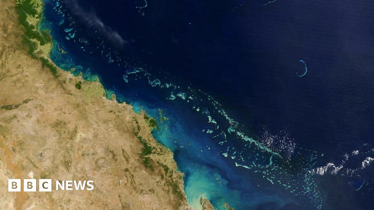 Australia's Great Barrier Reef hit by 'worst' bleaching - BBC News