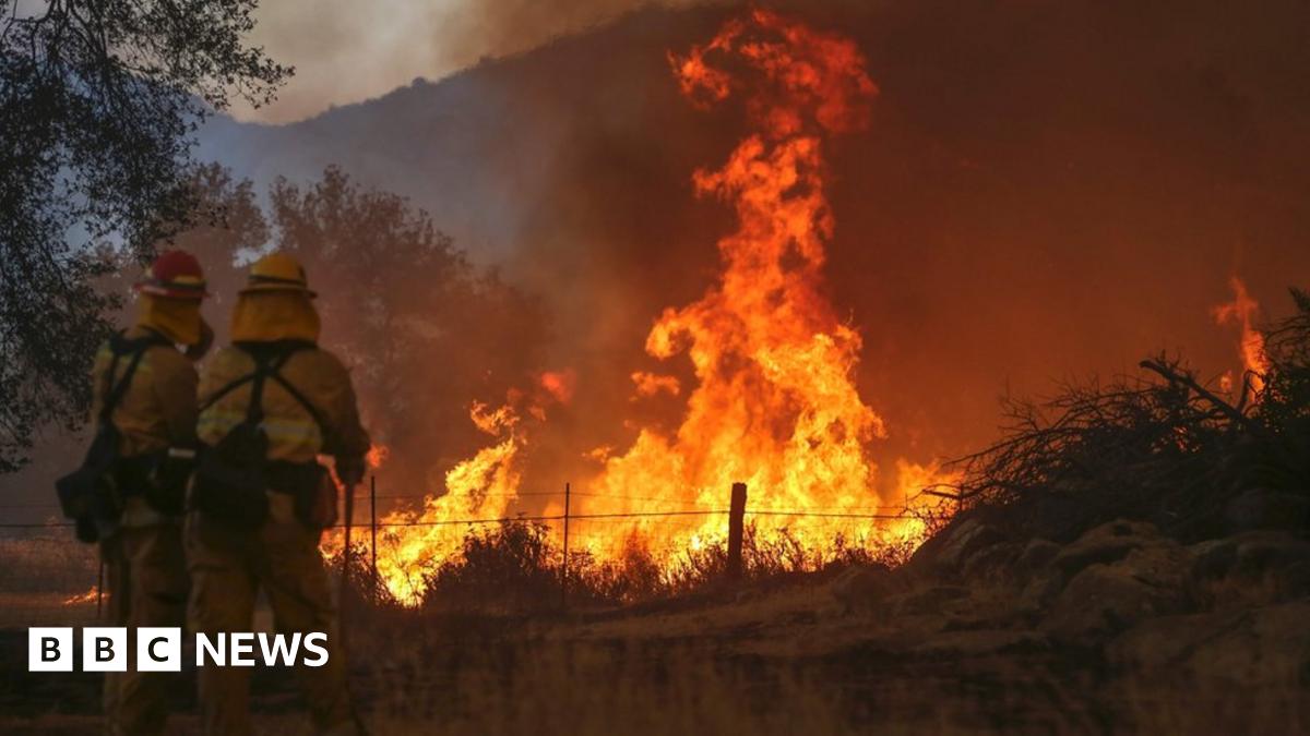 California wildfire forces hundreds to flee flames - BBC News