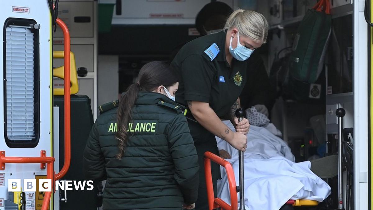 December strikes: 1,200 troops to cover for ambulances and Border Force ...