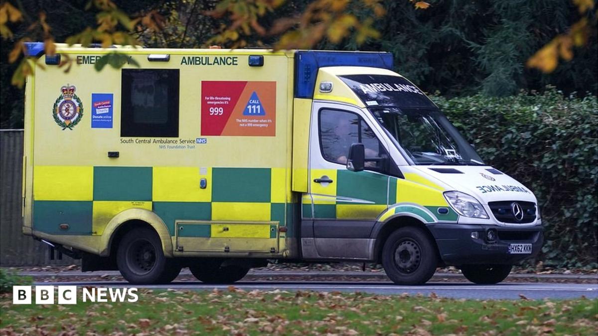 Public confidence in South Central Ambulance Service 'stretched', boss ...