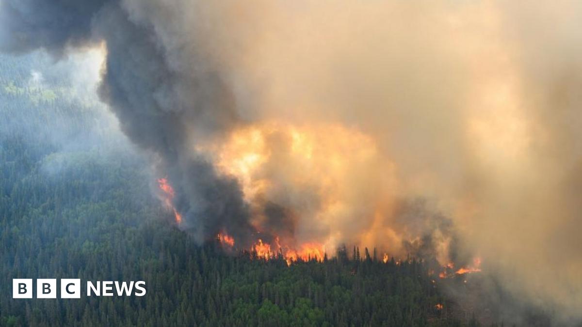 Canada wildfire season is now the worst on record - BBC News