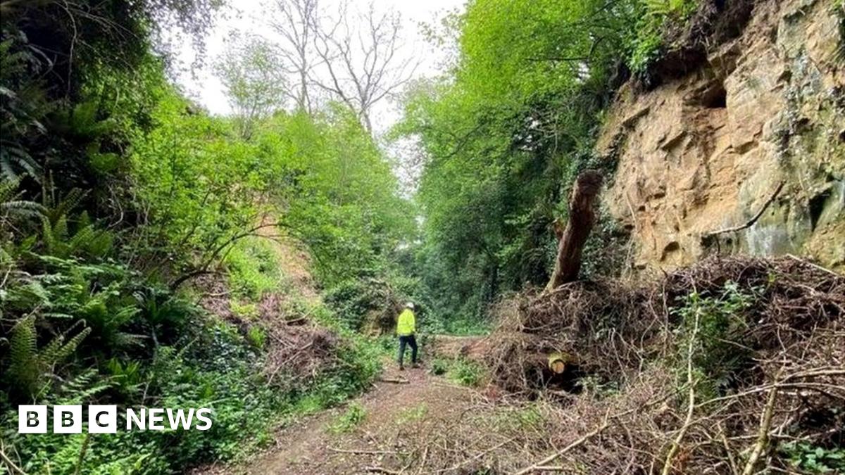 Popular 'rat run' Chinnock Hollow to stay shut after landslide - BBC News