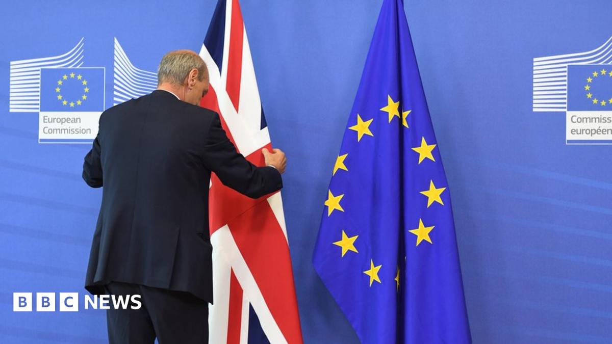 EU Brexit: Uncertainty gives Brits in Brussels the blues - BBC News
