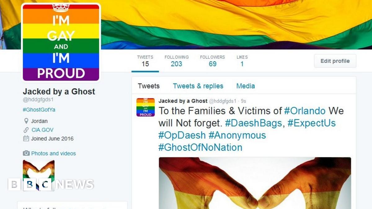 Anonymous fills IS Twitter accounts with gay pride messages - BBC News
