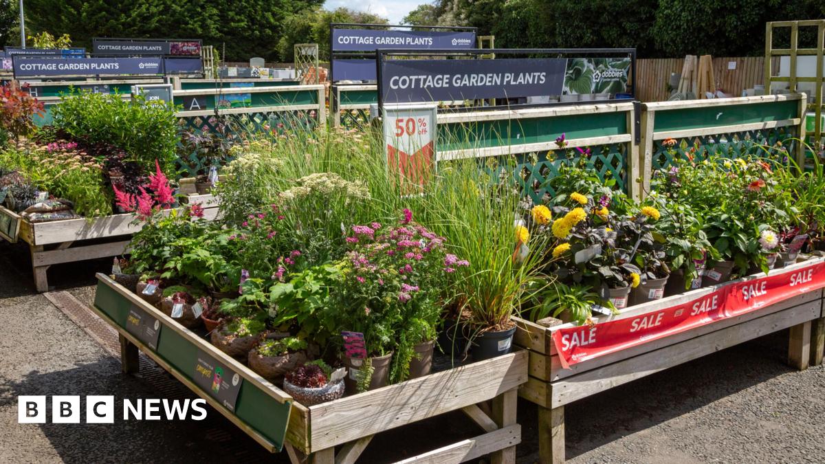 Dobbies to close 17 outlets across the country - BBC News