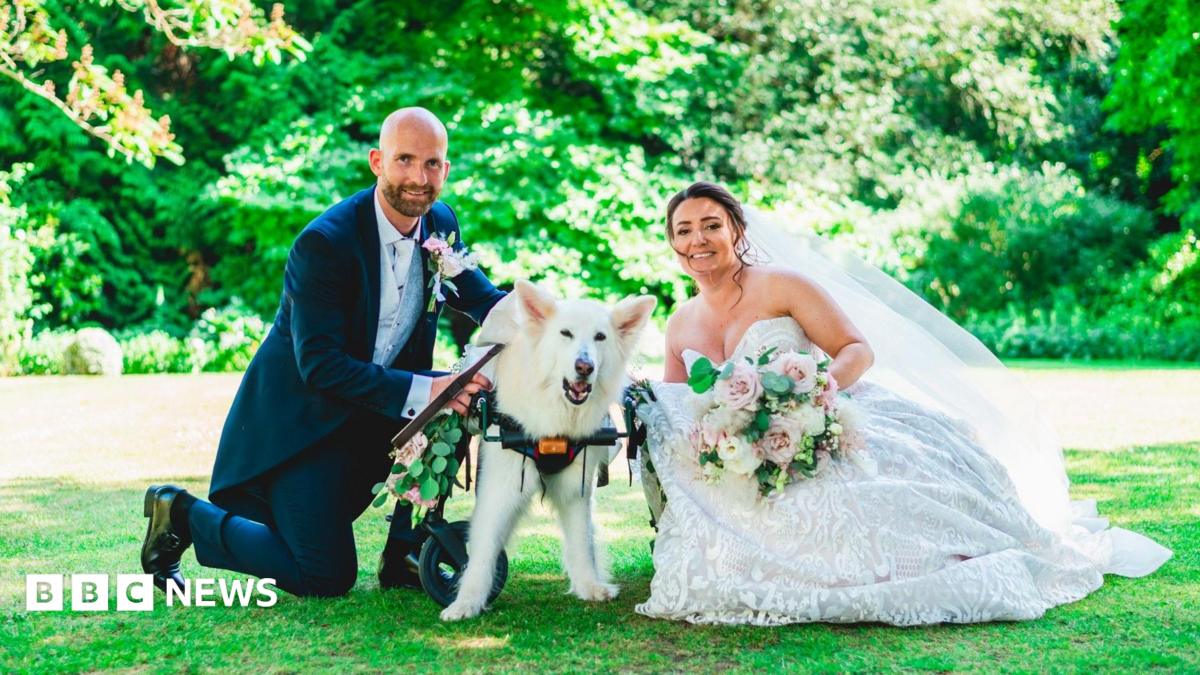 Kent: Hundreds of couples lose out on wedding videos - BBC News