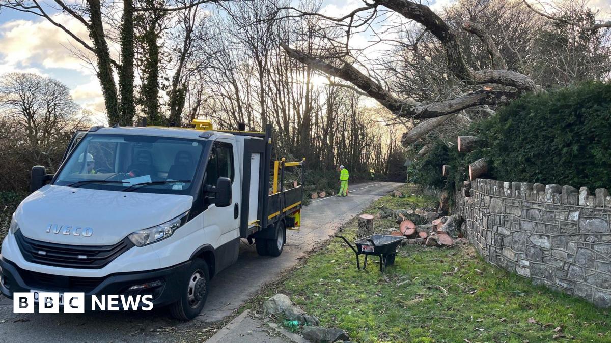 Thousands without power in Wales after Storm Darragh wind - BBC News