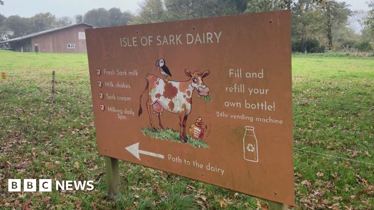 Sark Dairy needs £25k to restart milk production - BBC News