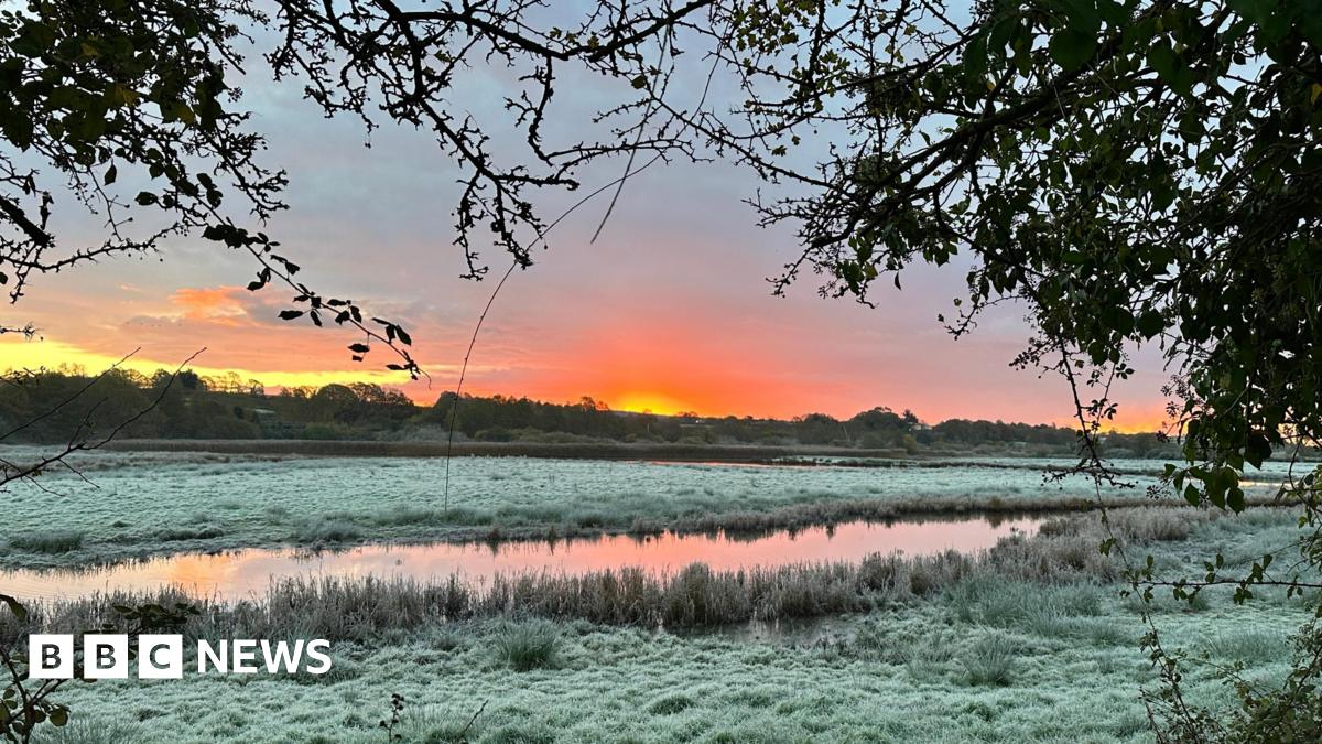 Pictures show frosty scenes across Devon and Cornwall - BBC News