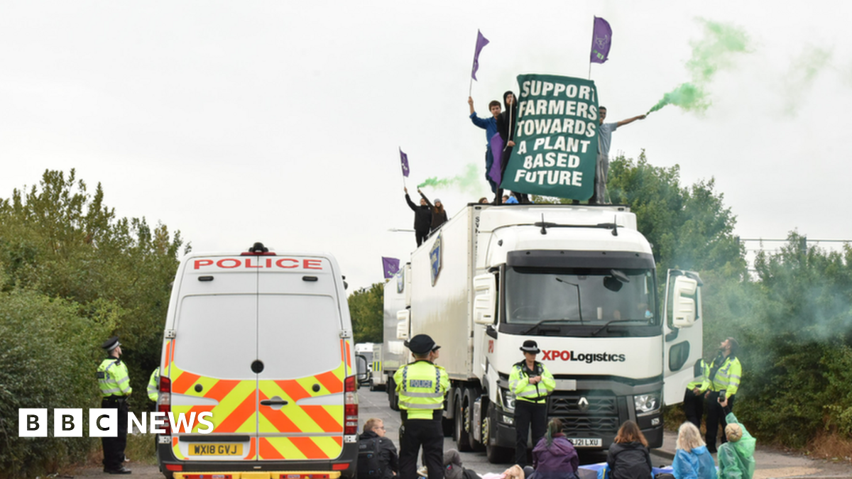 Protestors convicted after dairy protest - BBC News