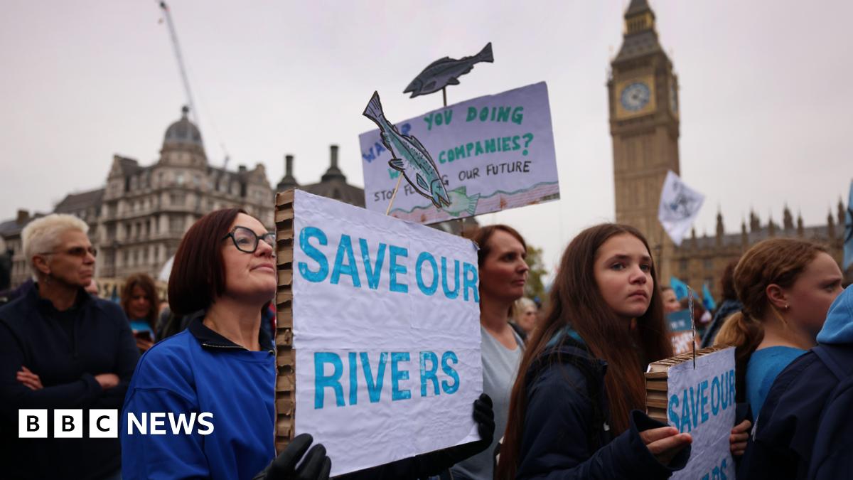 Protesters call on government to tackle water pollution - BBC News