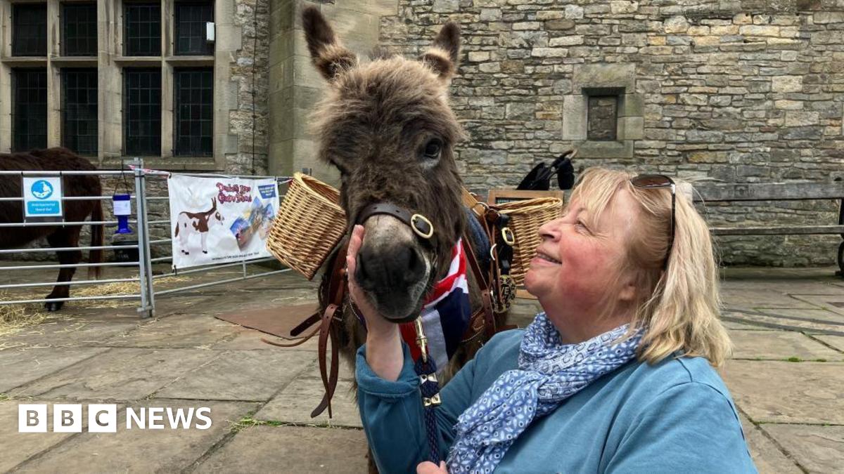 Richmond museum showcases donkeys and their role in wartime - BBC News