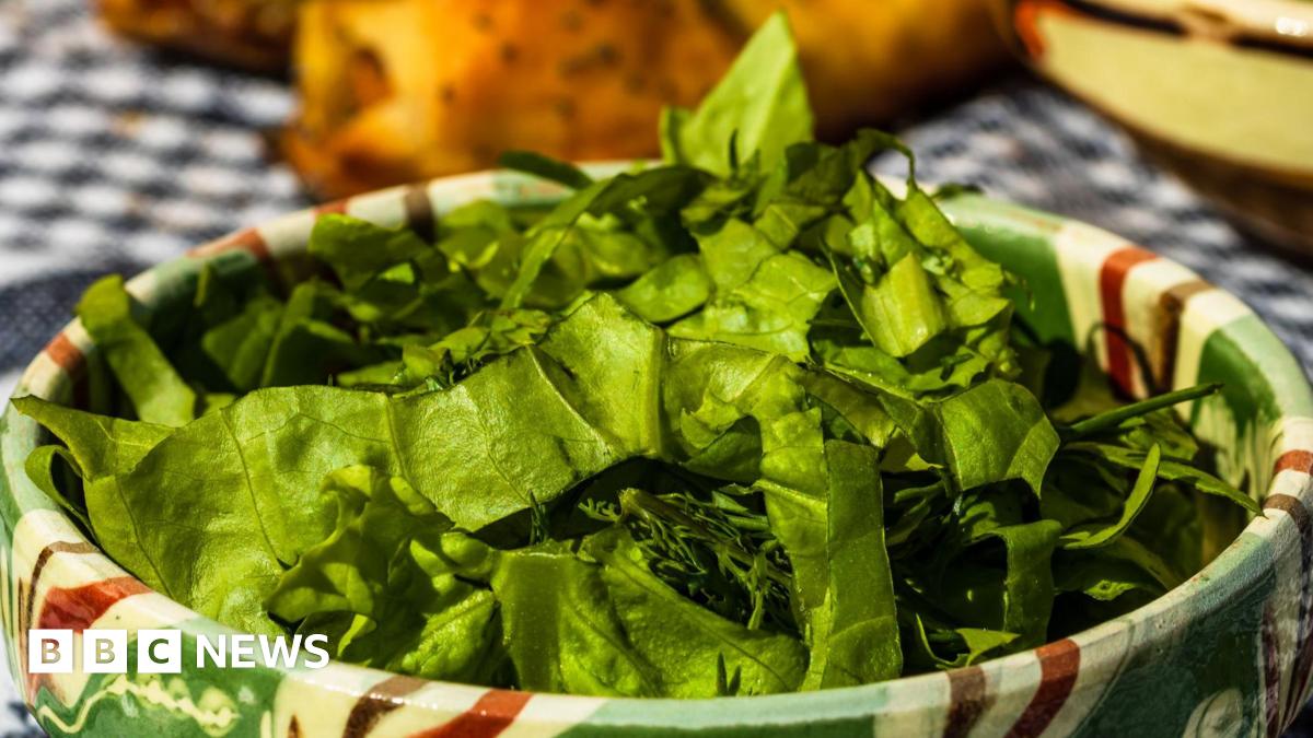 E.coli infections rise in UK due to salad leaf outbreaks - BBC News