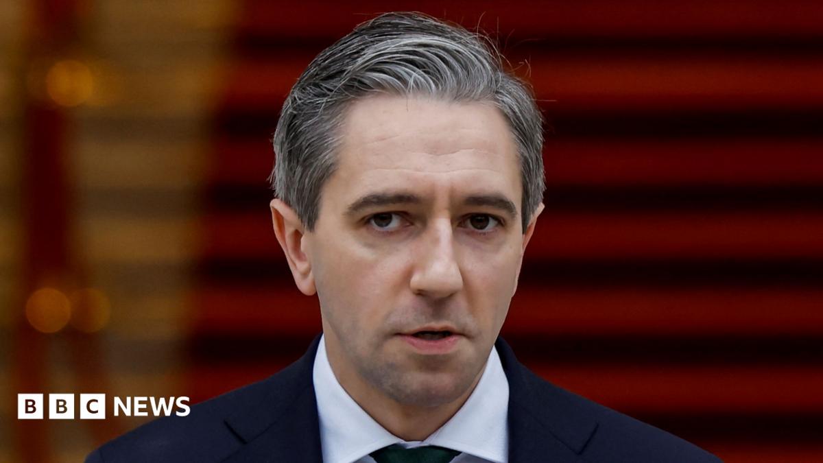 Irish election 2024: Harris calls snap poll for 29 November - BBC News