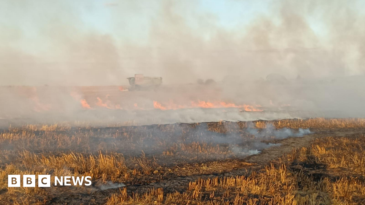 Wildfire destroys 15 acres of crops in Shropshire - BBC News