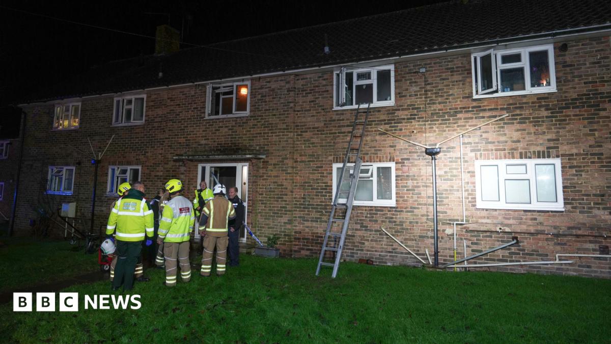 Steyning: Eight people rescued from fire in block of flats - BBC News