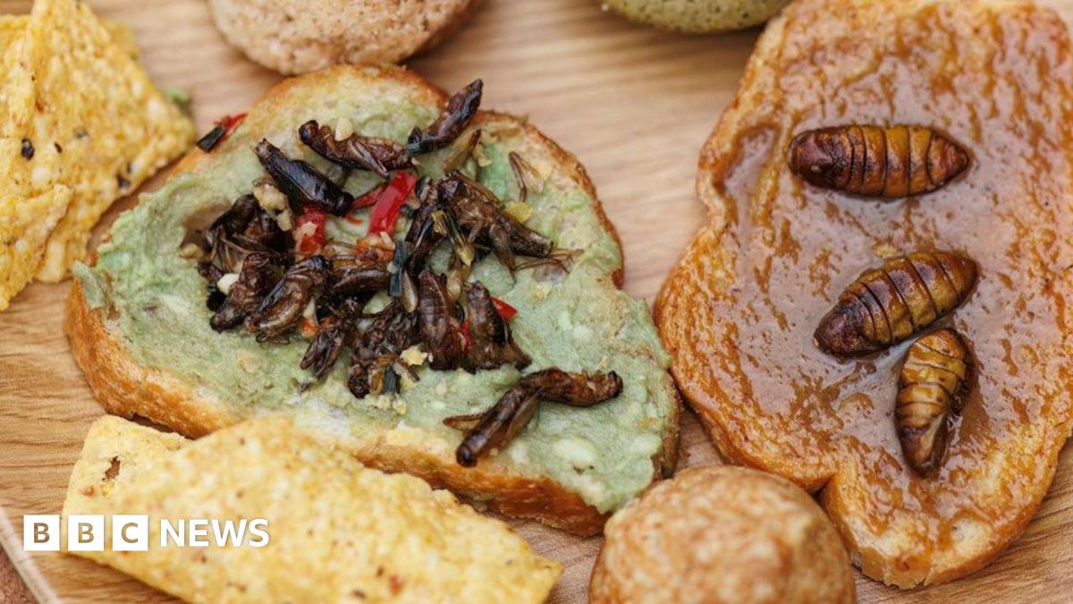 Culinary taste challenge for edible insect advocates - BBC News
