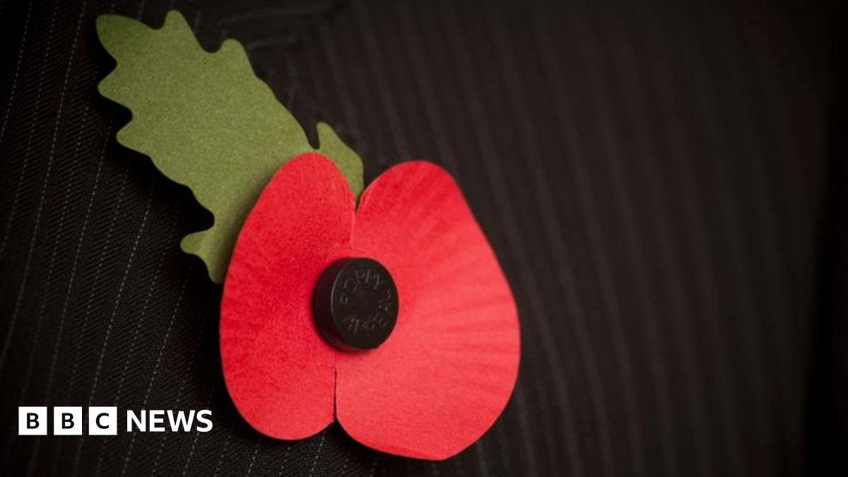 Remembrance poppy: Why do we wear poppies and what do they mean - BBC News