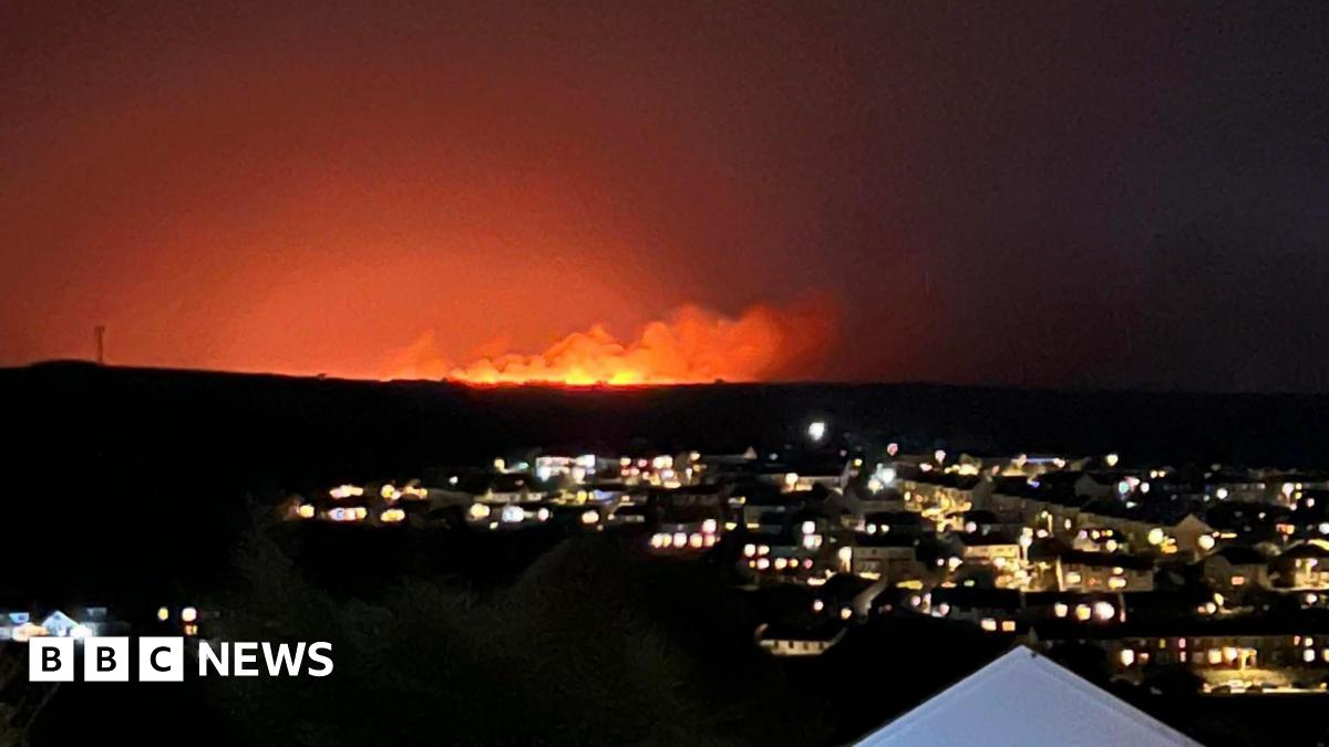 Animals likely killed in 'mindless' Cornwall nature reserve fire - BBC News