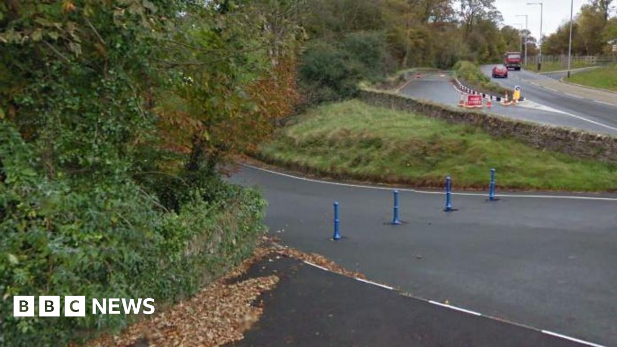Diversion through Governor's Dip as unsafe tree felled - BBC News