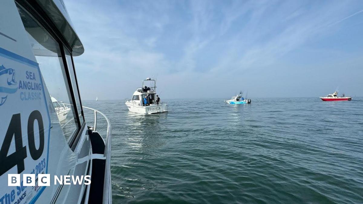 Solent anglers team up with Portsmouth researchers for project - BBC News