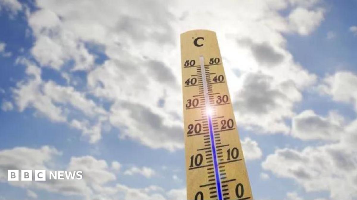 Hot weather: Experts in the South East issue warnings - BBC News