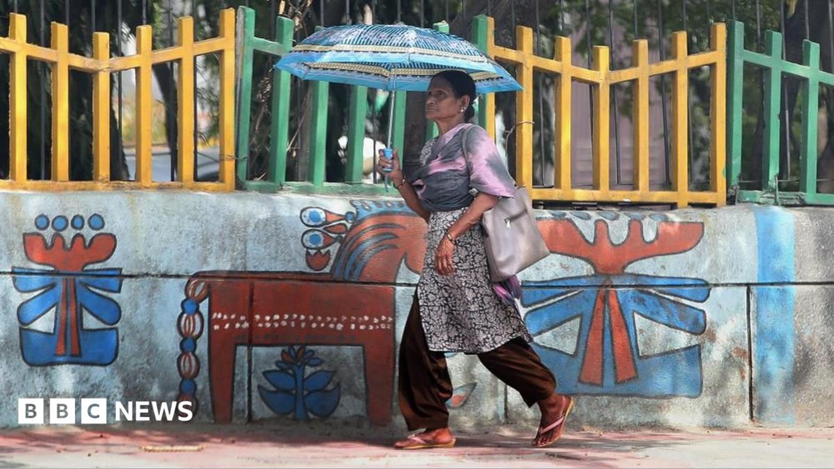 Extreme heat hits countries around the world - BBC News