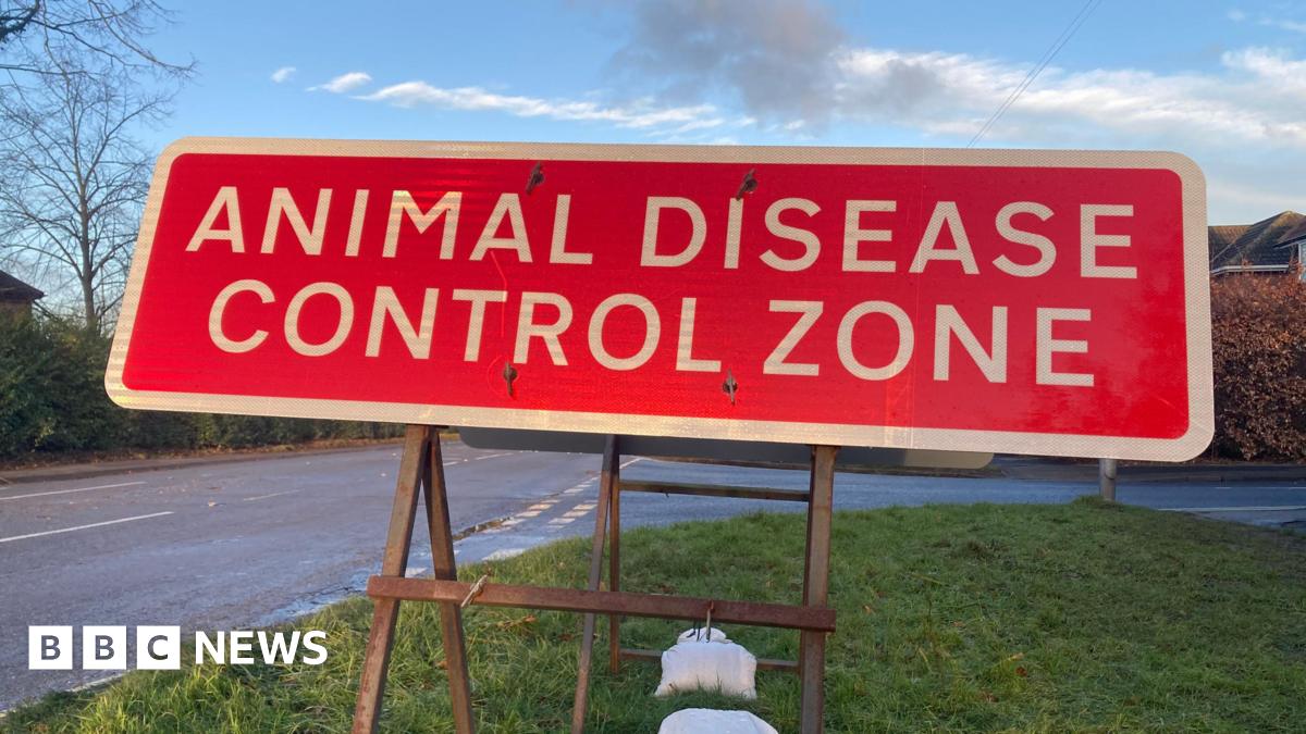 North Yorkshire named a 'higher risk' area for bird flu - BBC News