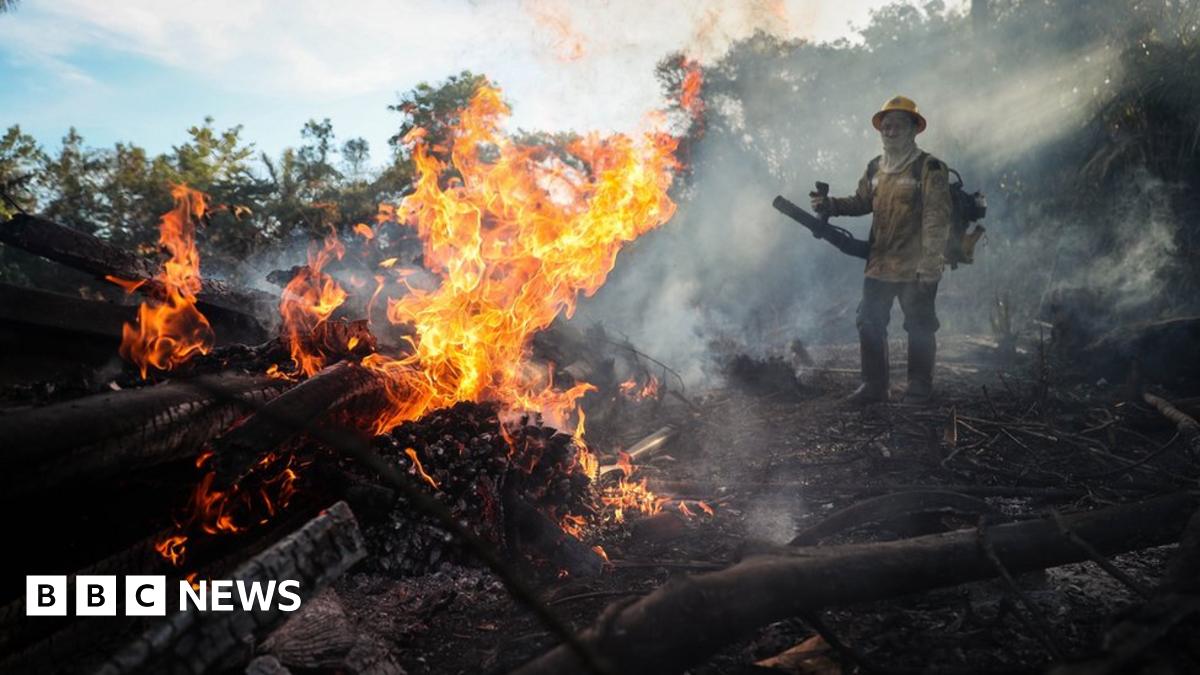 Amazon rainforest belongs to Brazil, says Jair Bolsonaro - BBC News