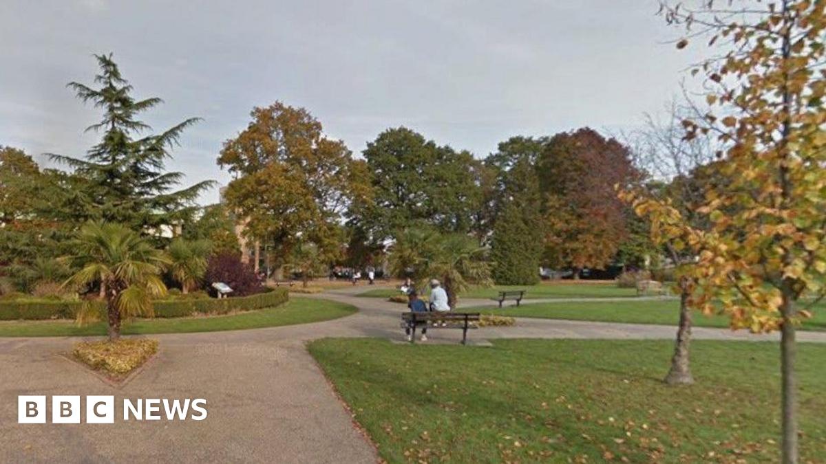 Crawley memorial trees to be planted to honour Covid-19 deaths - BBC News